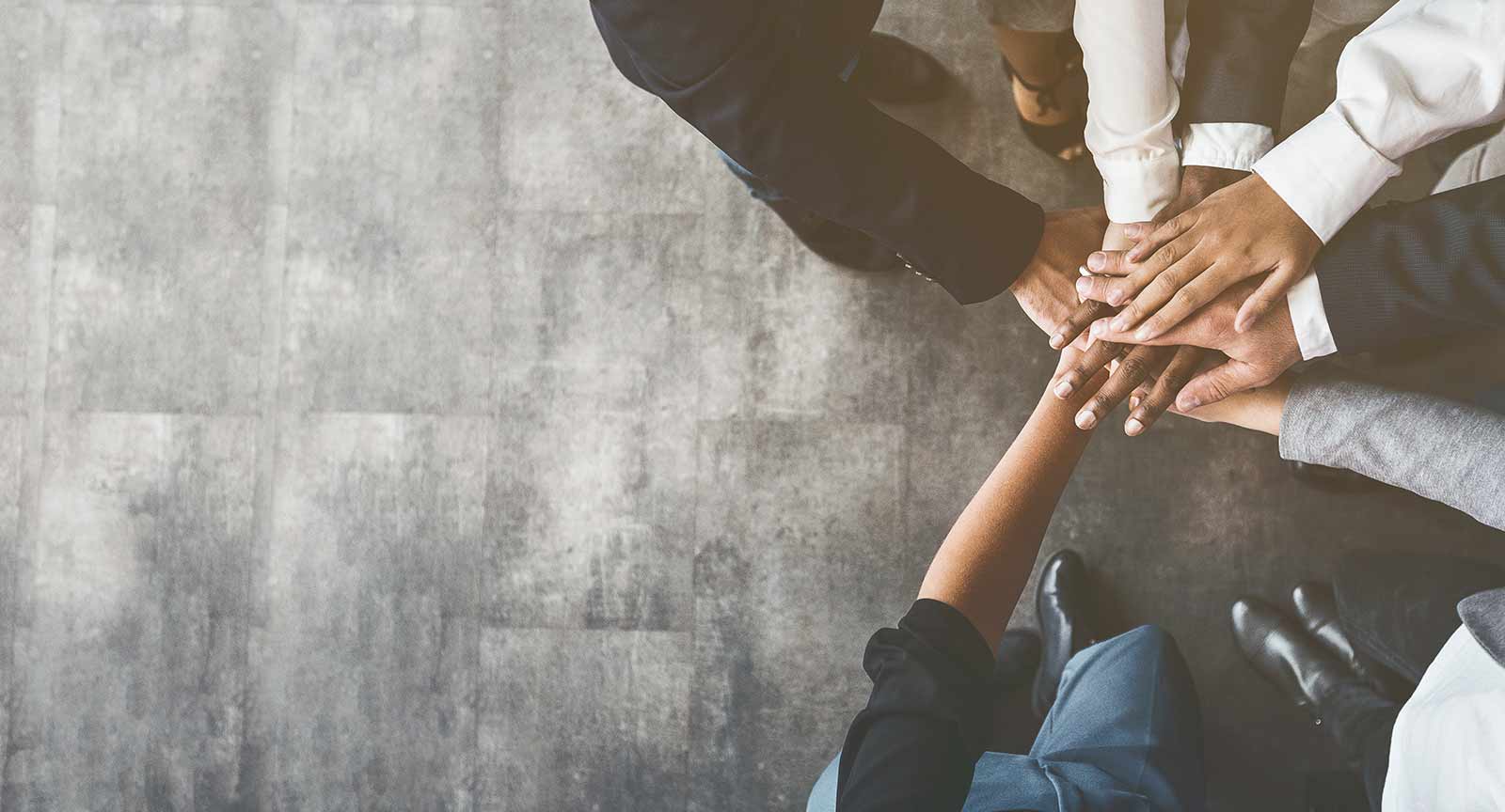 Des solutions complètes pour la gestion du risque | Stelliant